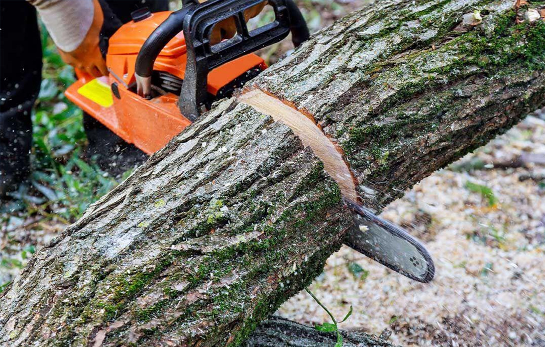 Barrs Tree Service LLC